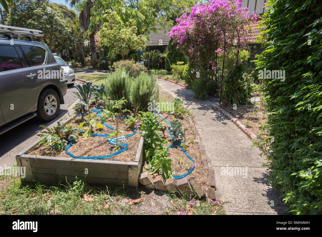 Community gardening roadside hi-res stock photography and images - Alamy
