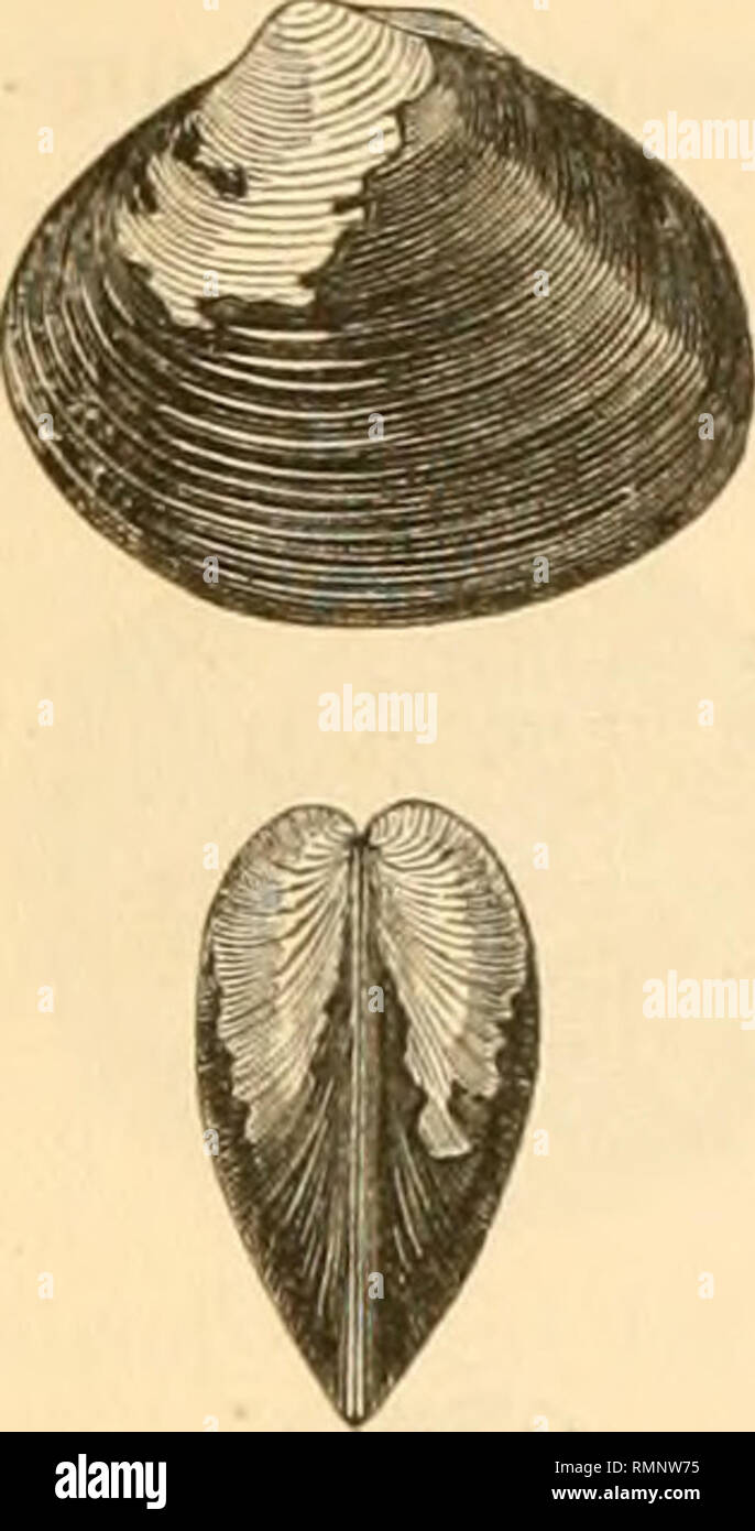 . Annals of the Lyceum of Natural History of New-York. Science. 72 ...