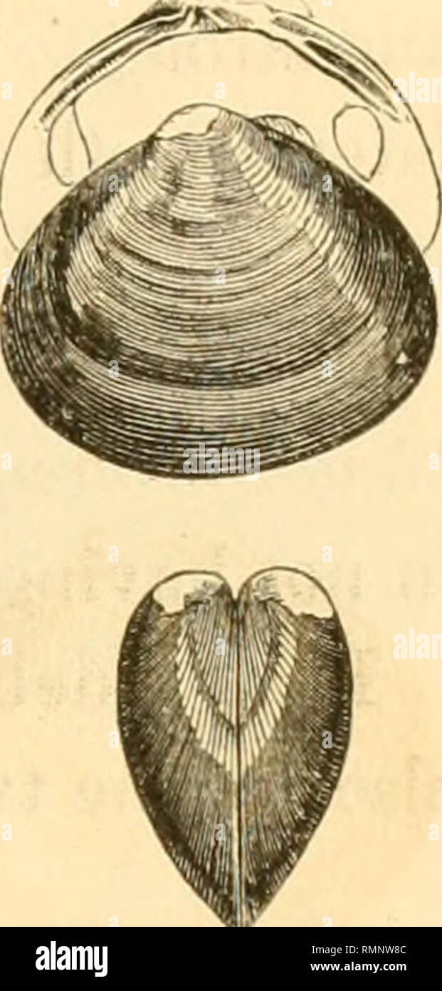 . Annals of the Lyceum of Natural History of New-York. Science. Notes ...