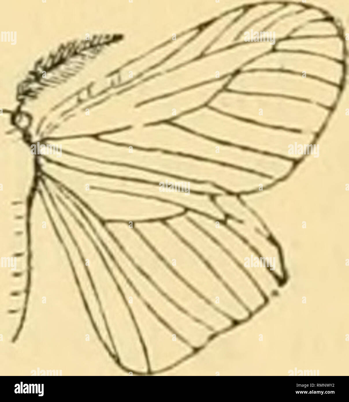 . The Annals and magazine of natural history; zoology, botany, and ...