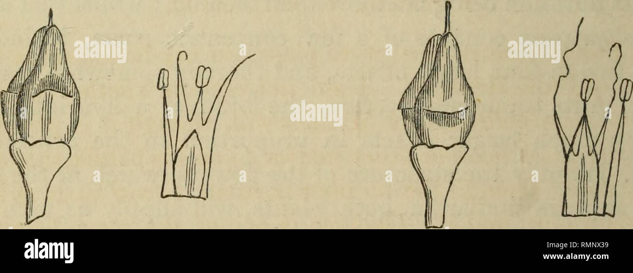 . Annals of natural history. Natural history; Botany; Zoology; Geology ...