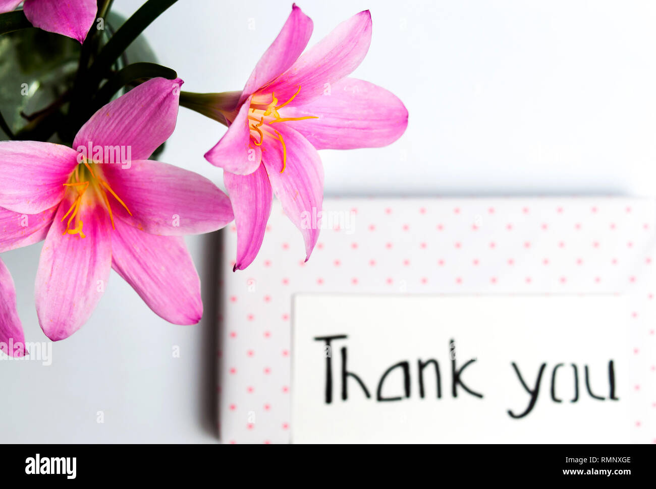 Thank you note with beautiful flower bouquet hi-res stock photography ...