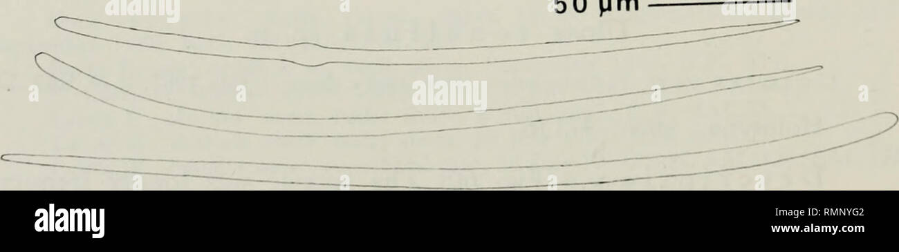 Ulosa hi-res stock photography and images - Alamy