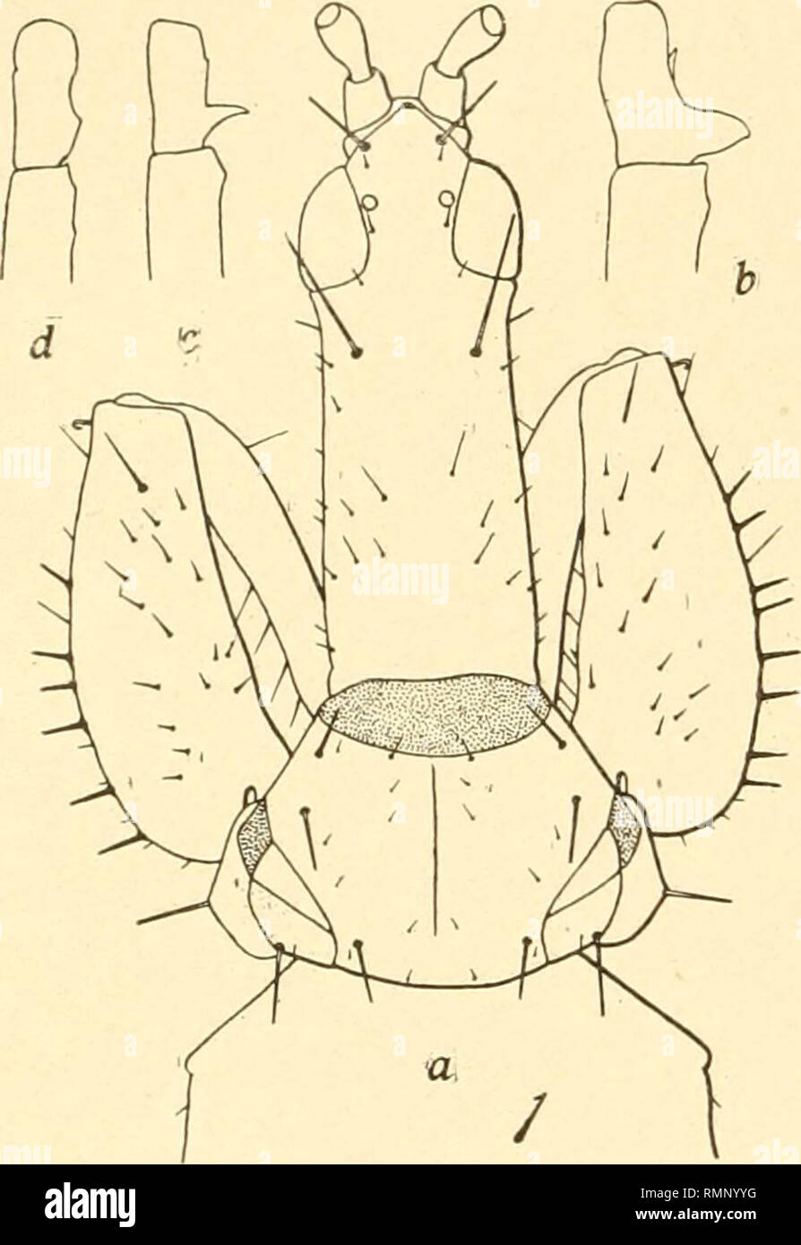 . Annals of the Entomological Society of America. Entomology. 286 ...