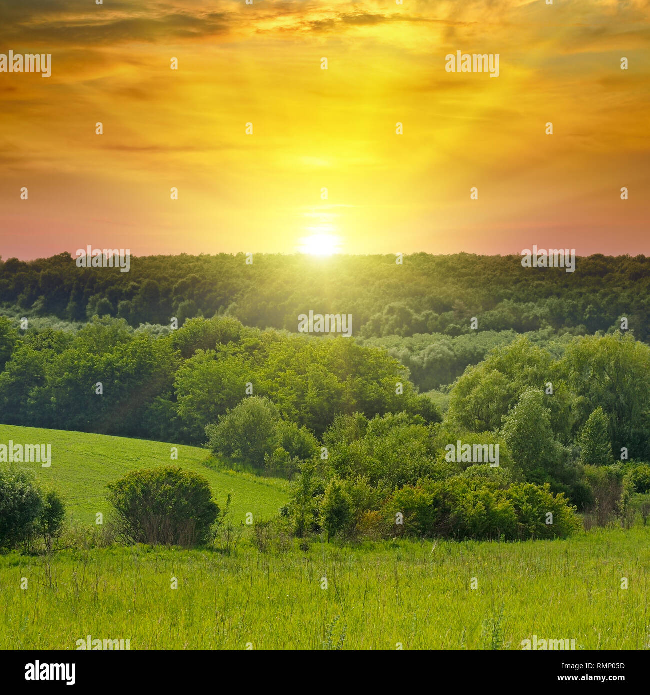 Grass covered fields at sunrise hi-res stock photography and images - Alamy