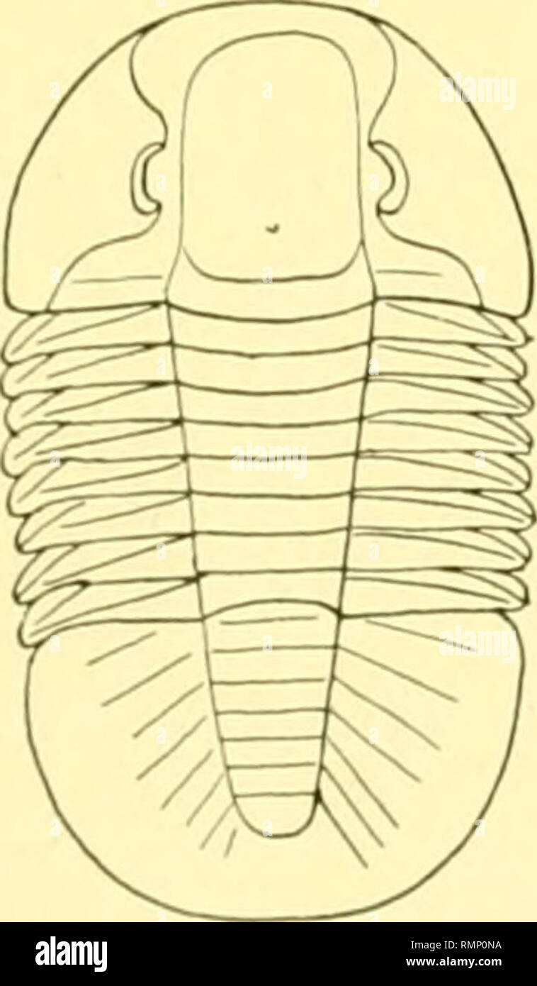 . Annals of the Carnegie Museum. Carnegie Museum; Carnegie Museum of ...