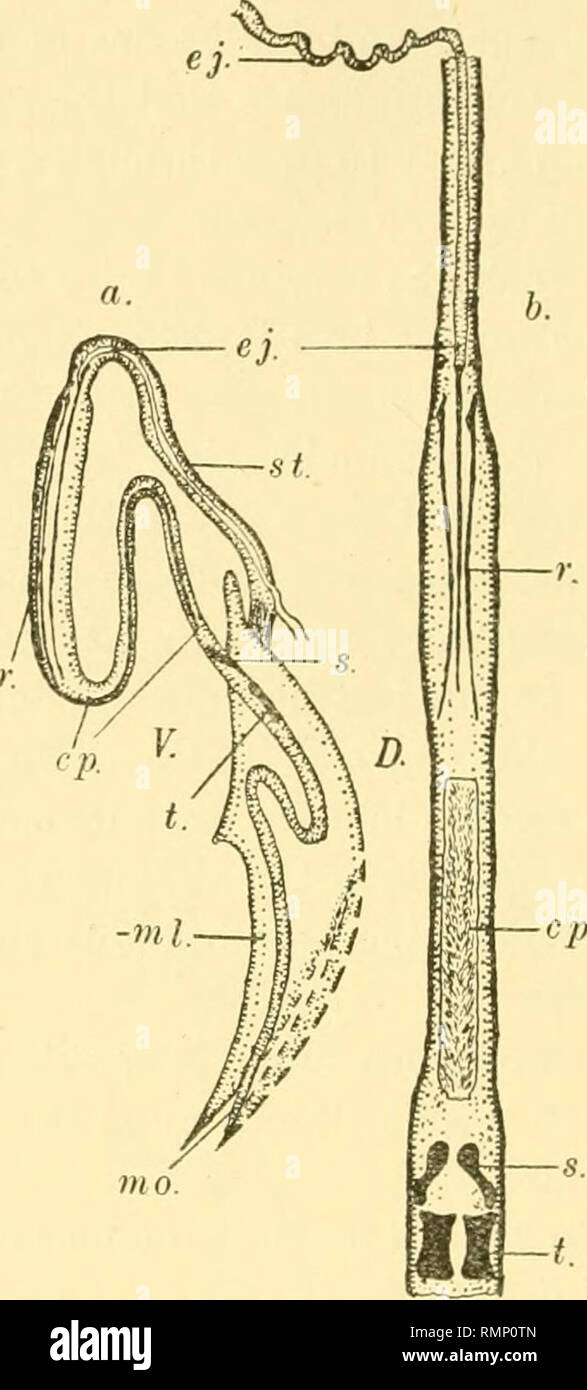 . Annals of applied biology. Biology, Economic; Biochemistry. 318 The ...