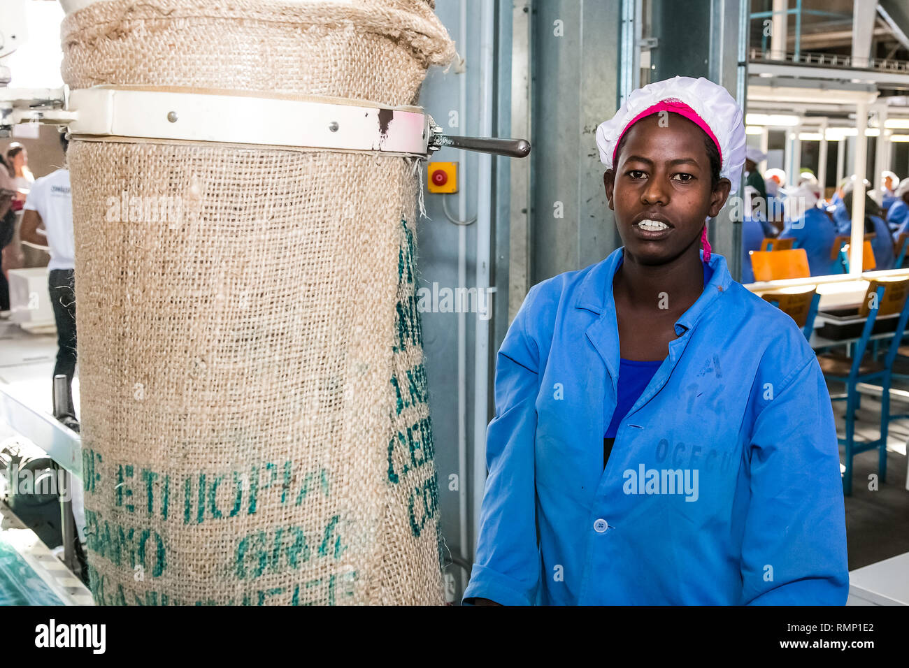Addis Ababa, Ethiopia - January 30 2014: Raw Coffee Bean sorting and ...