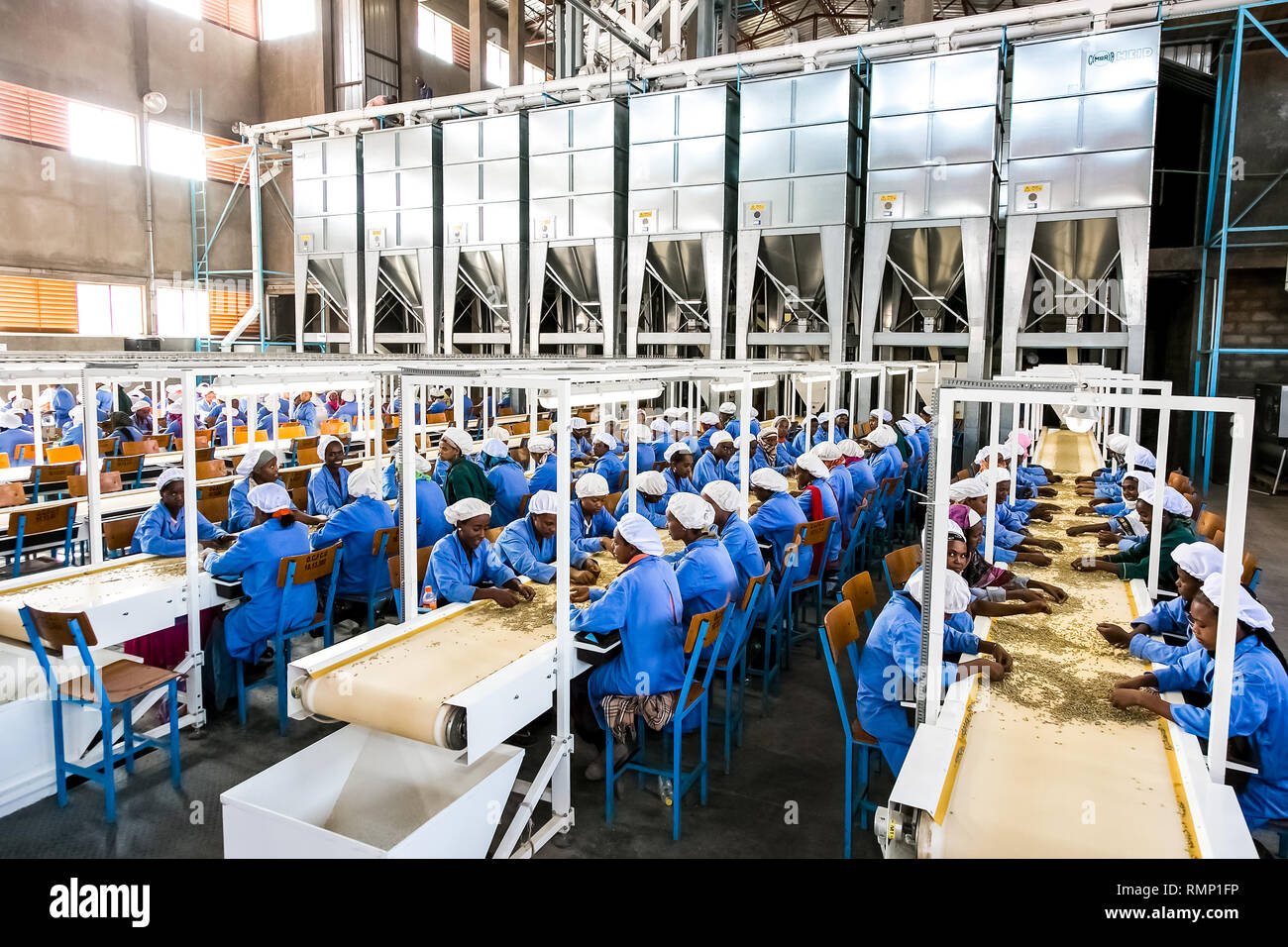 Processing Factory Agriculture Ethiopia High Resolution Stock ...