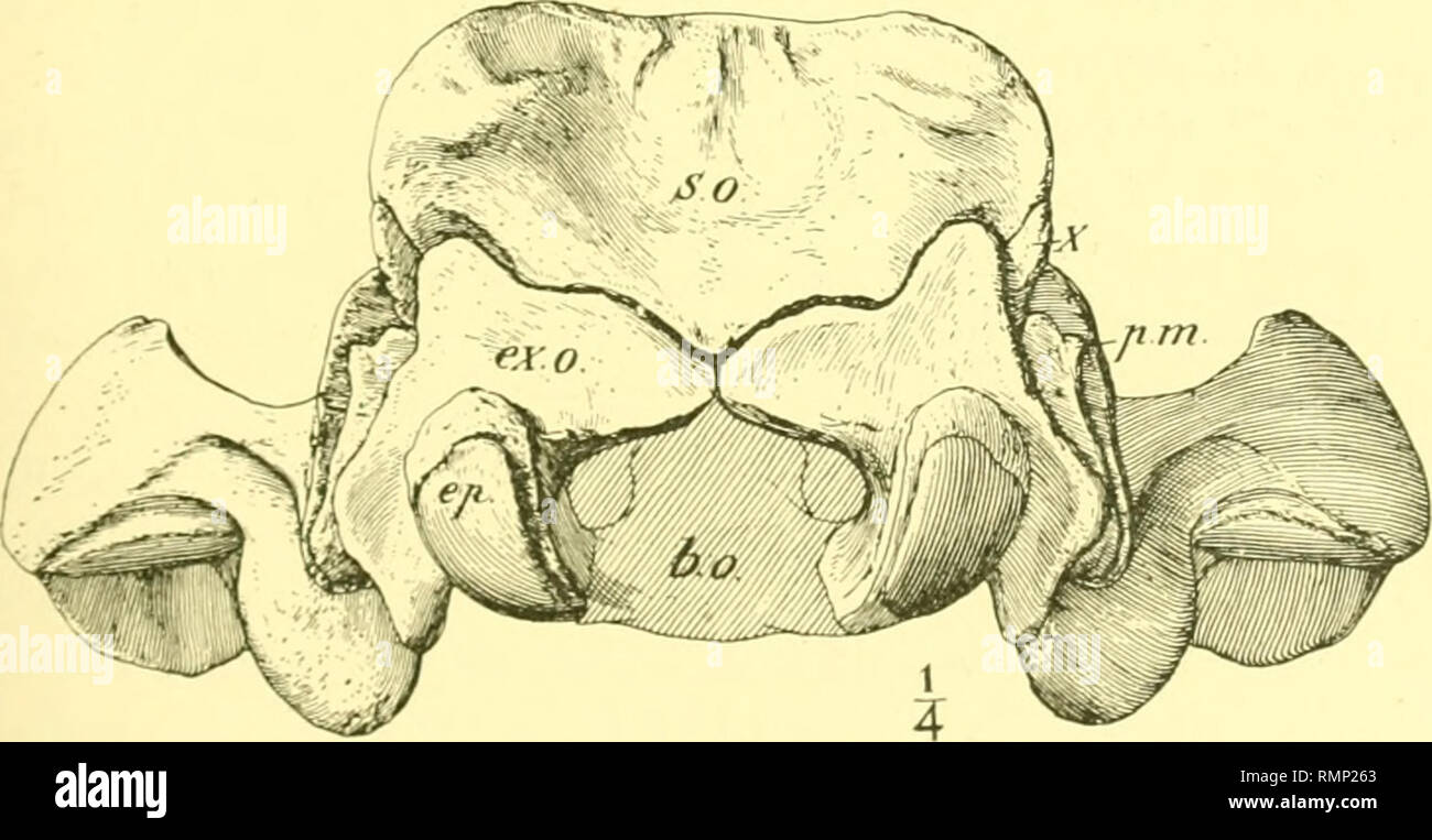 Malars hi-res stock photography and images - Alamy