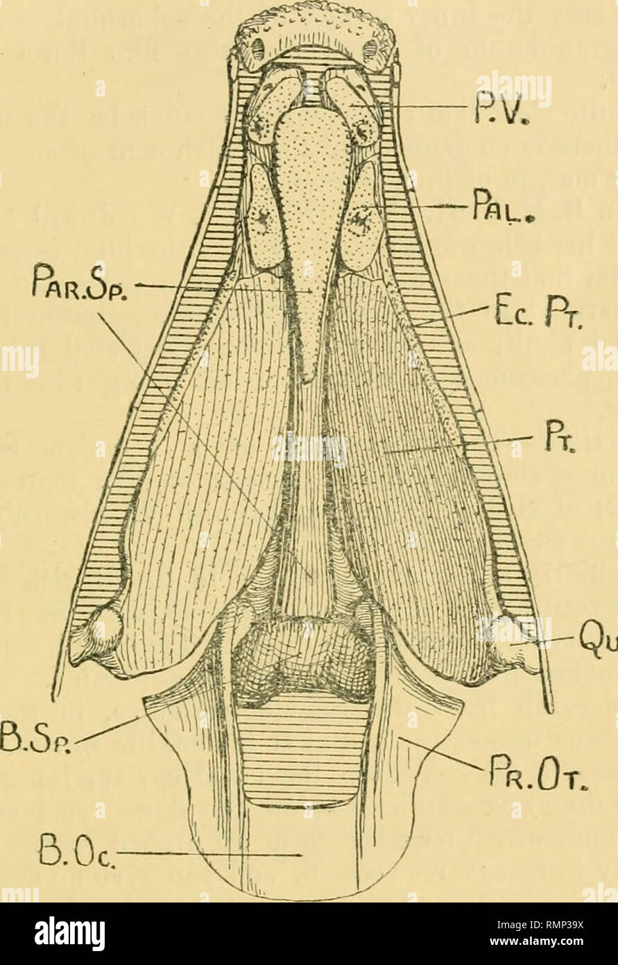 . The Annals and magazine of natural history; zoology, botany, and ...