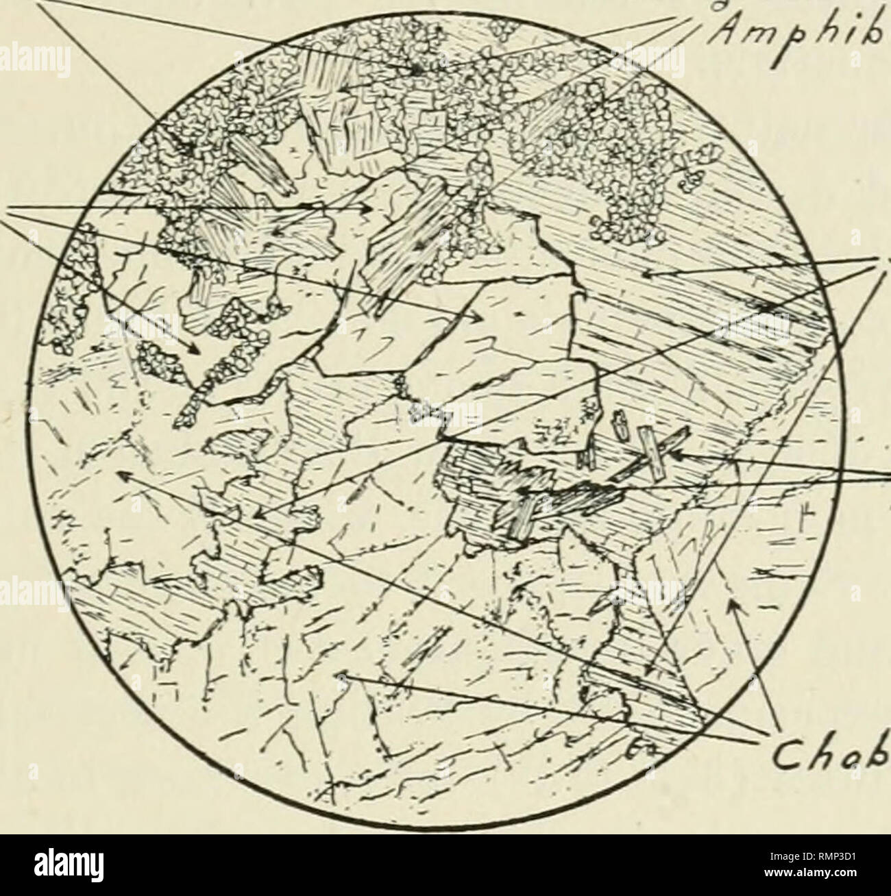 . Annals of the New York Academy of Sciences. Science; Science -- New ...