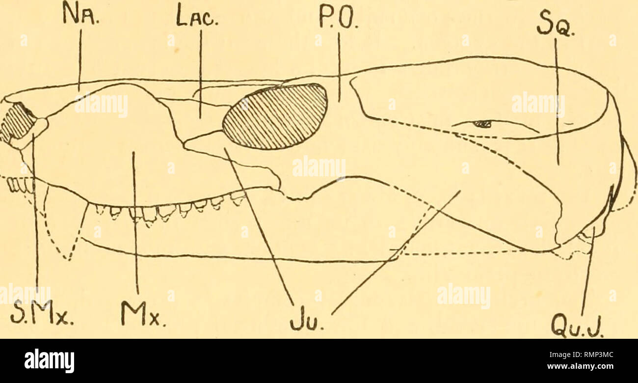 . The Annals and magazine of natural history; zoology, botany, and ...