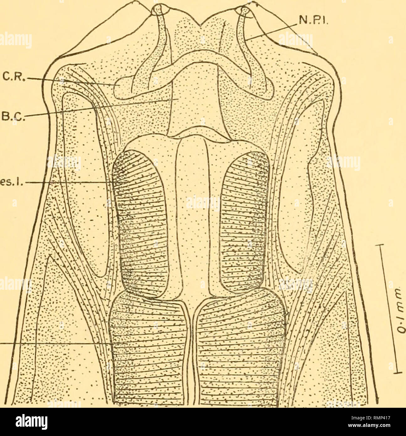Hourglass Division High Resolution Stock Photography and Images - Alamy