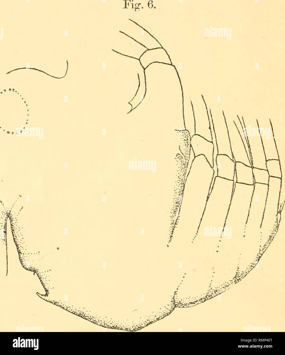 On an even keel hi-res stock photography and images - Alamy