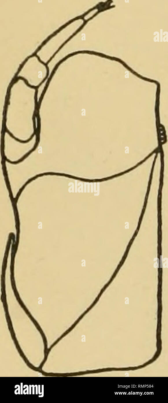 Miss leach hi-res stock photography and images - Alamy