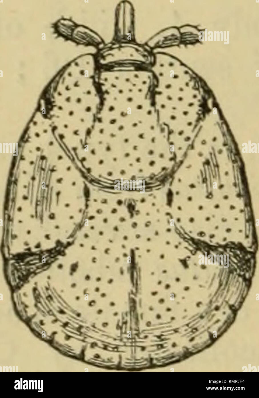 . The Annals and magazine of natural history; zoology, botany, and ...