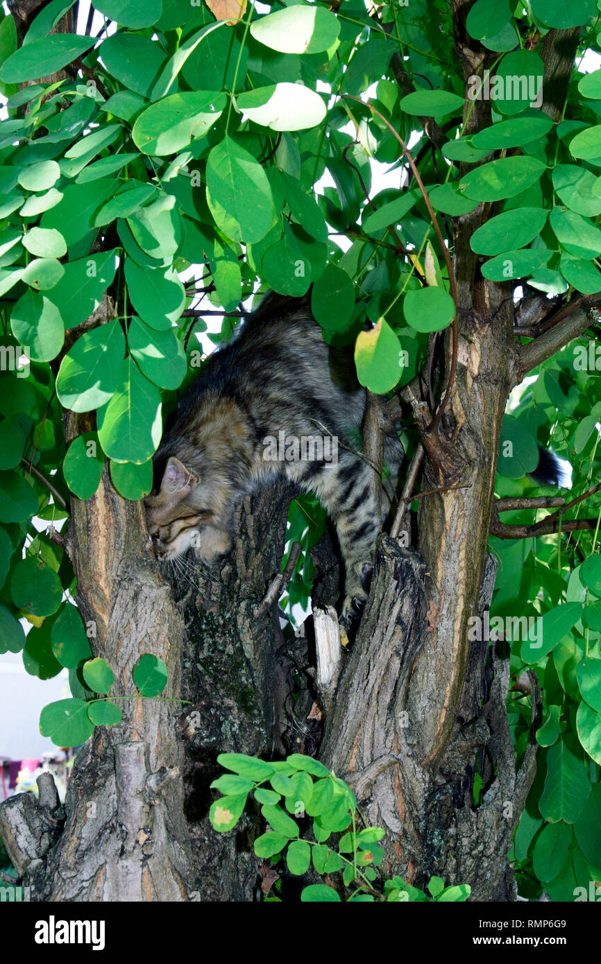 Awkward stance hi-res stock photography and images - Alamy