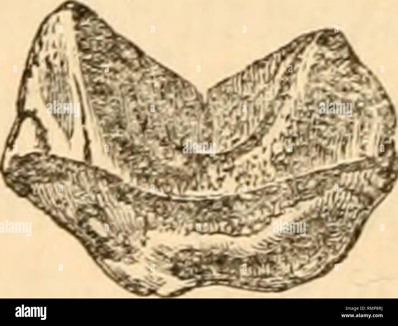 Newbourn hi-res stock photography and images - Alamy