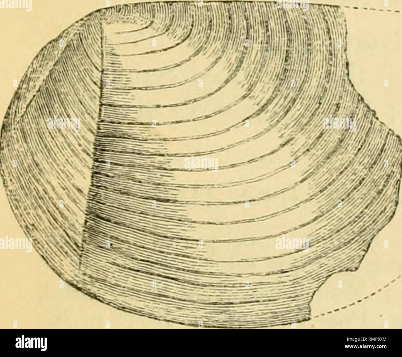 . The Annals and magazine of natural history; zoology, botany, and ...