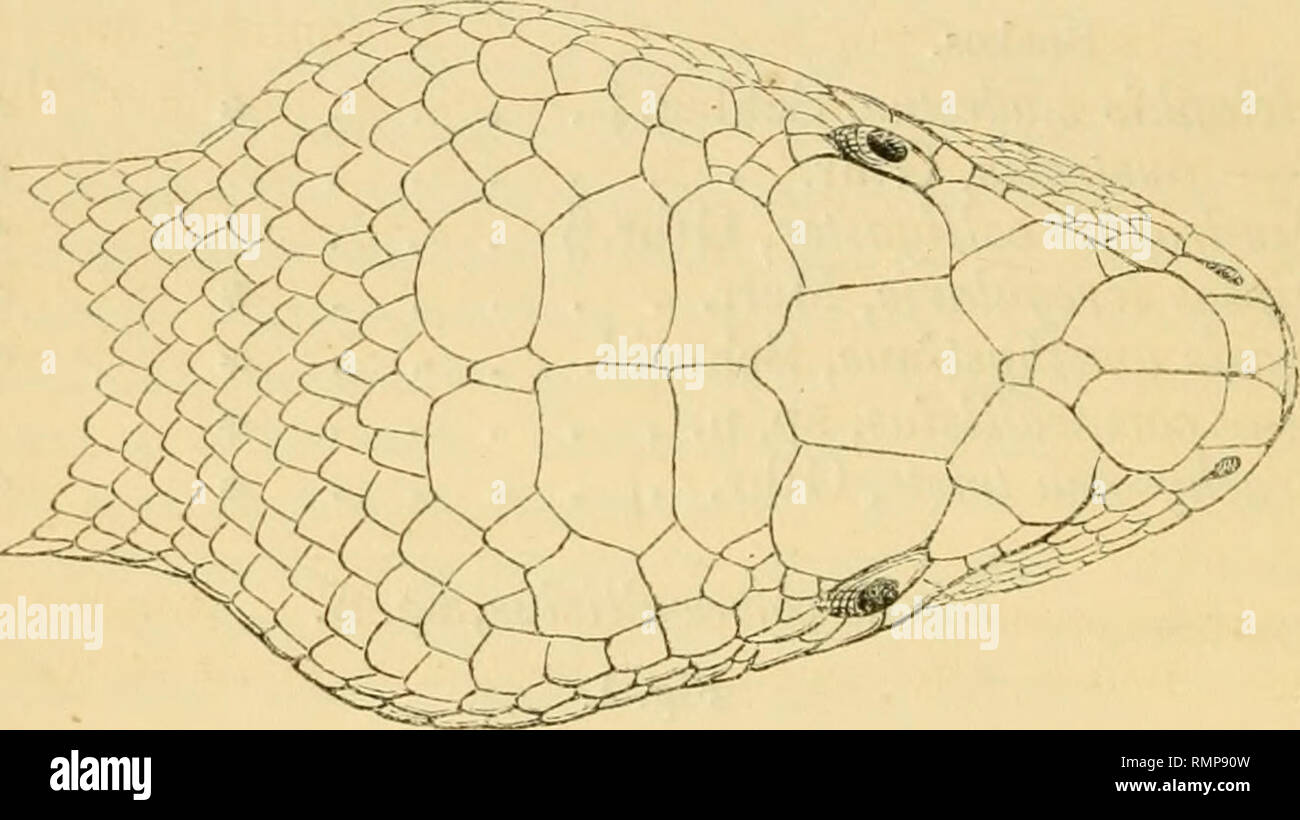 . The Annals and magazine of natural history; zoology, botany, and ...