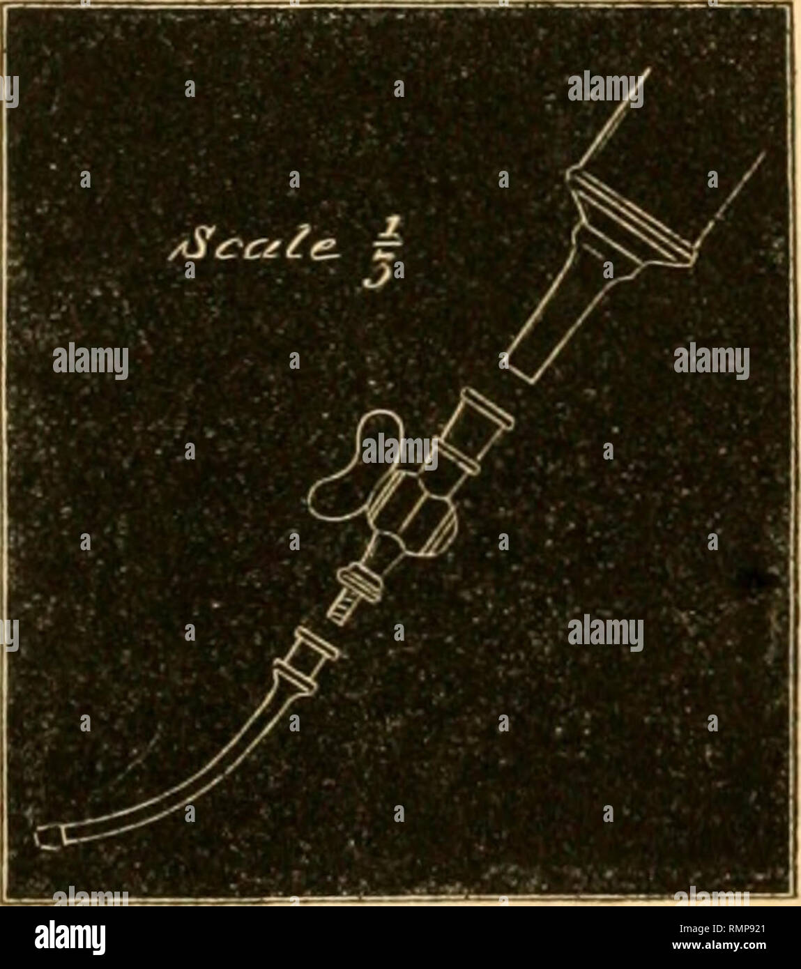 Tons of rabbits hi-res stock photography and images - Alamy