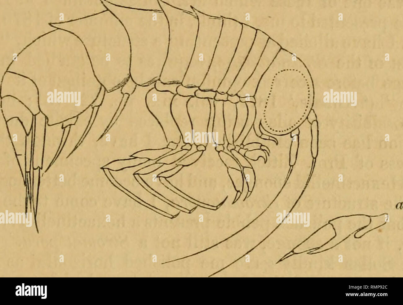 Mr c sharp hi-res stock photography and images - Alamy