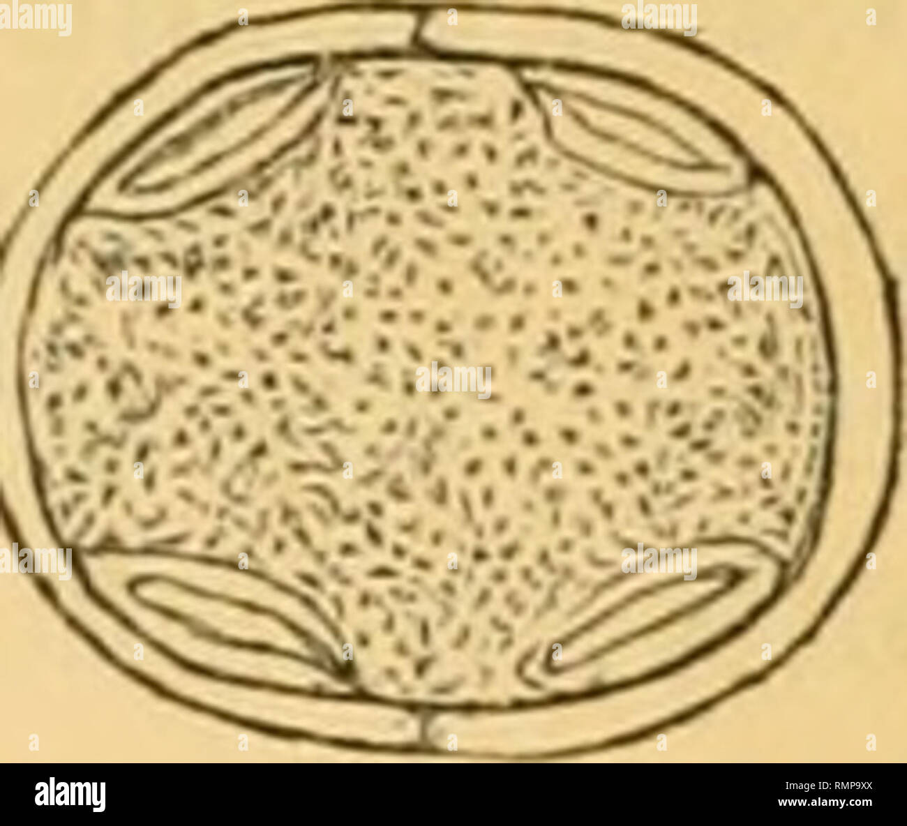 . The Annals and magazine of natural history; zoology, botany, and ...