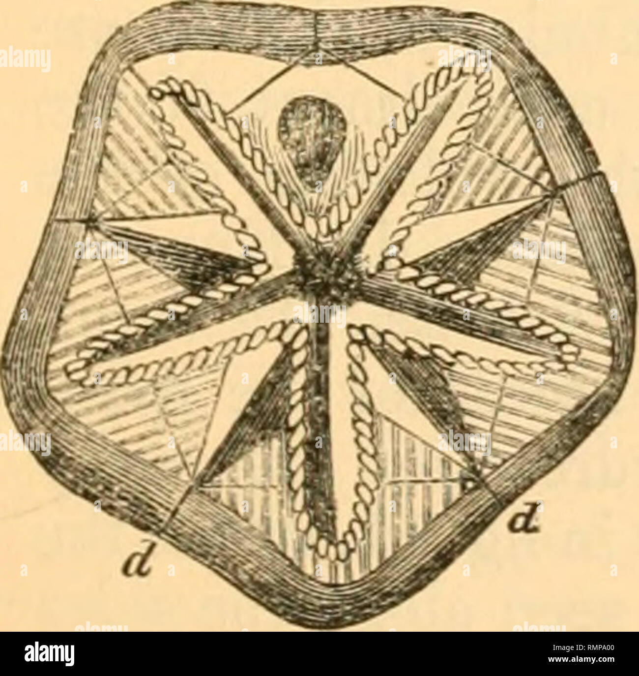 . The Annals and magazine of natural history; zoology, botany, and ...