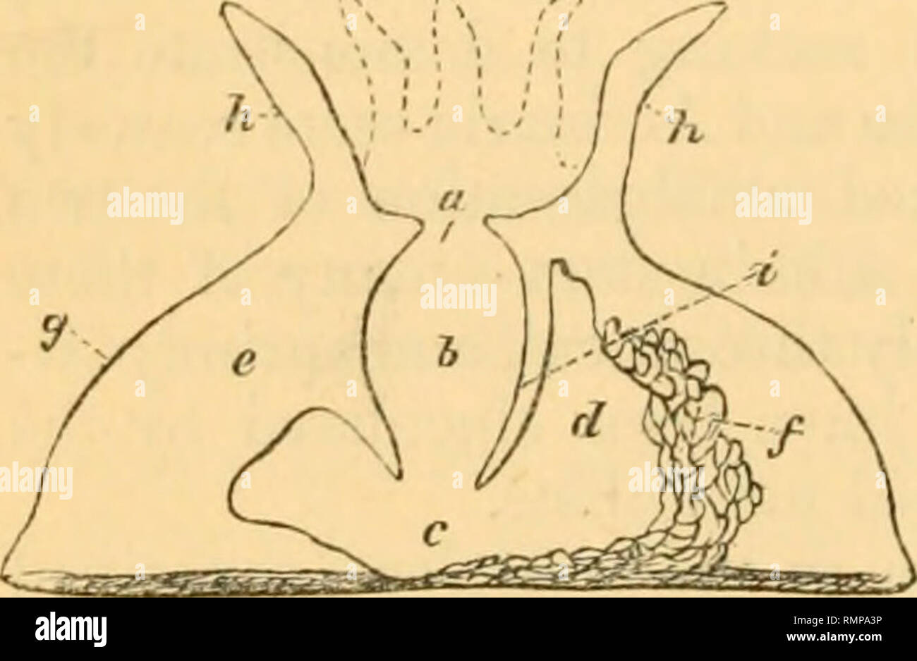 Incurrent canal hi-res stock photography and images - Alamy