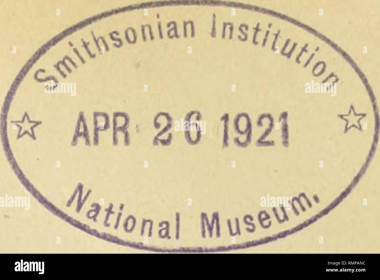 Sternite 6 hi-res stock photography and images - Alamy