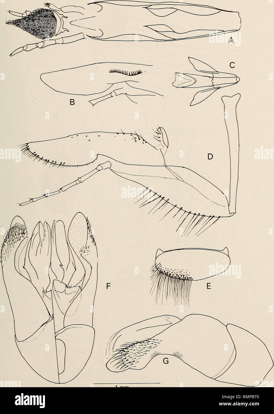 . Annals of the South African Museum = Annale van die Suid-Afrikaanse ...