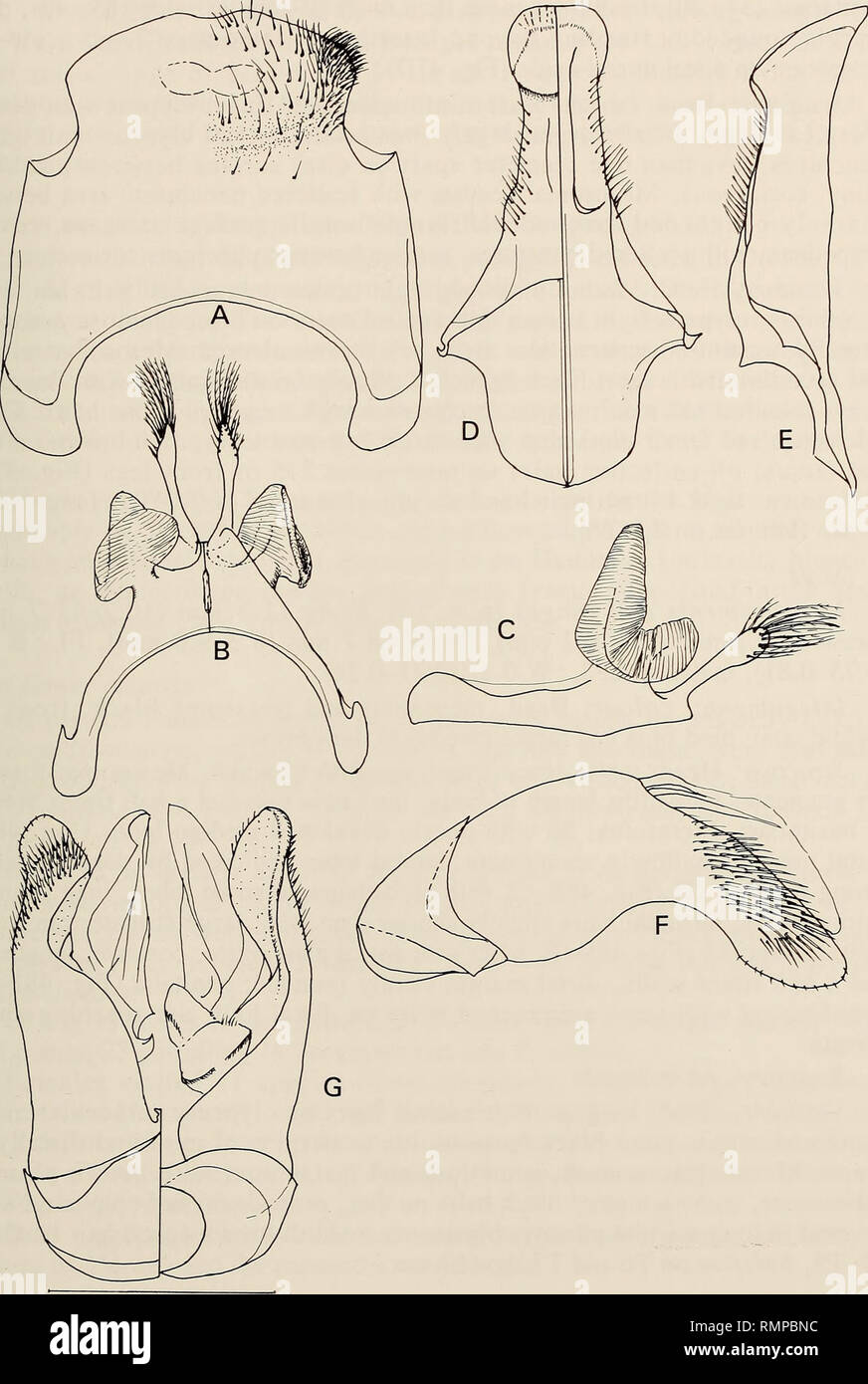 . Annals of the South African Museum = Annale van die Suid-Afrikaanse ...