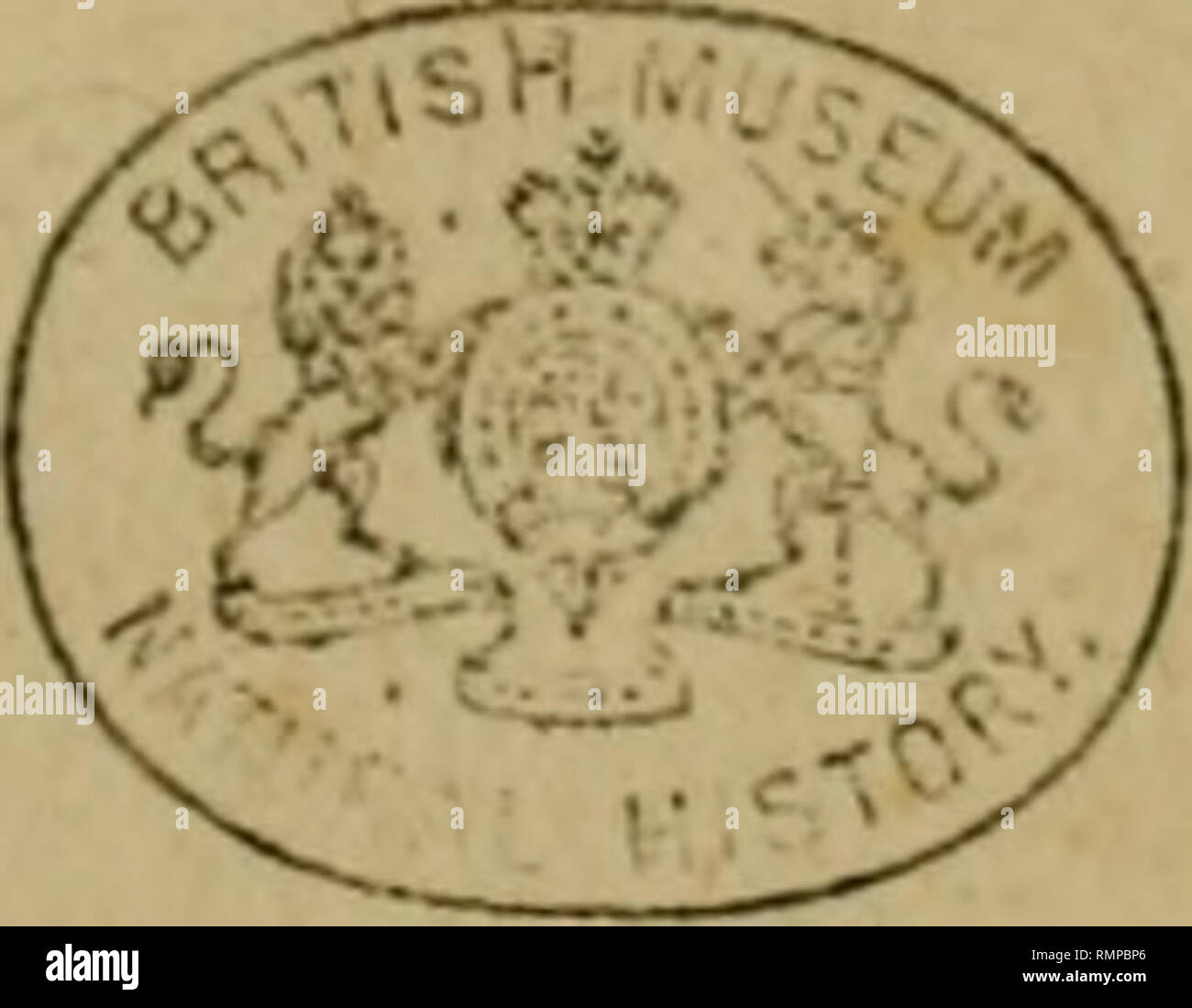 Canale spinale hi-res stock photography and images - Alamy