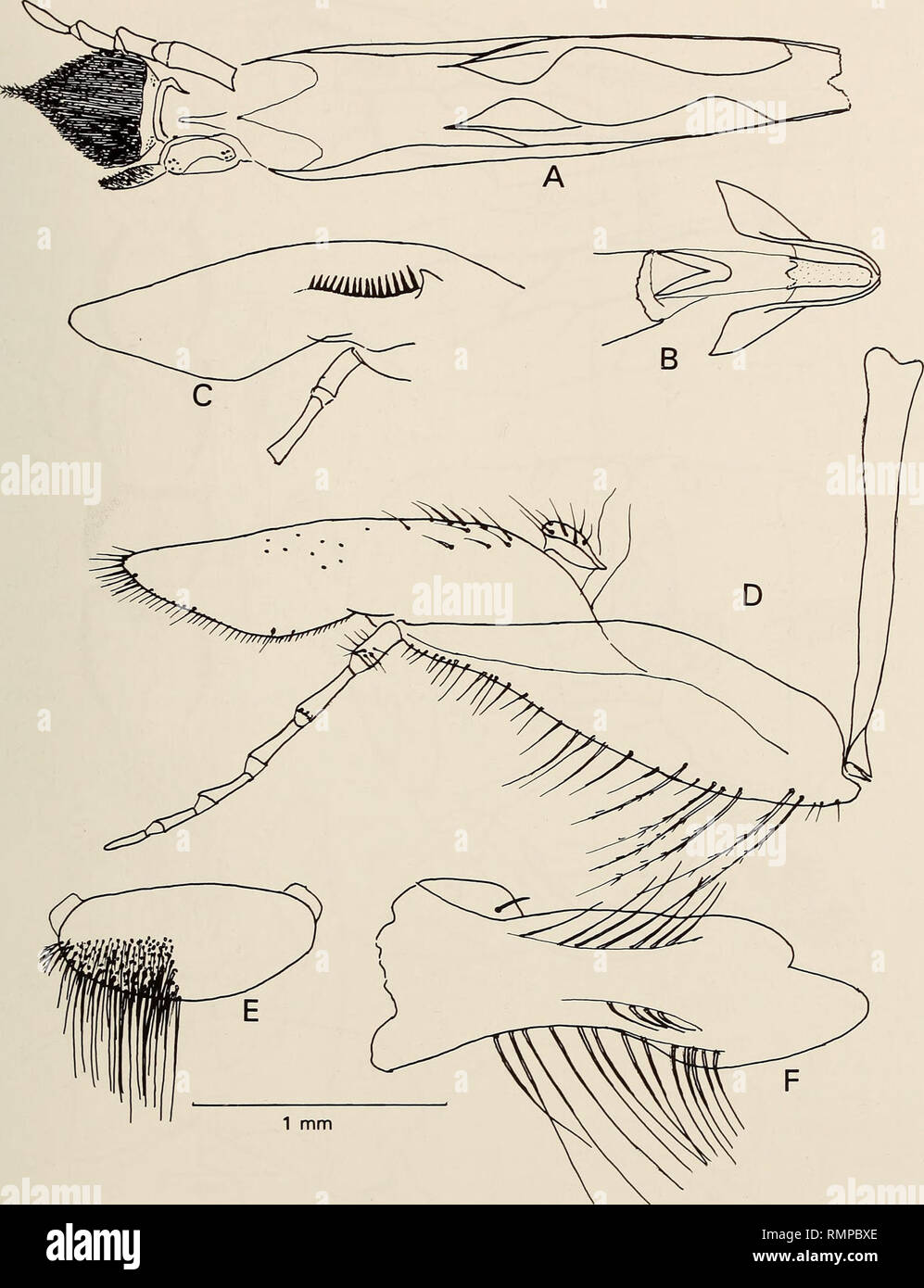 Prementum hi-res stock photography and images - Alamy