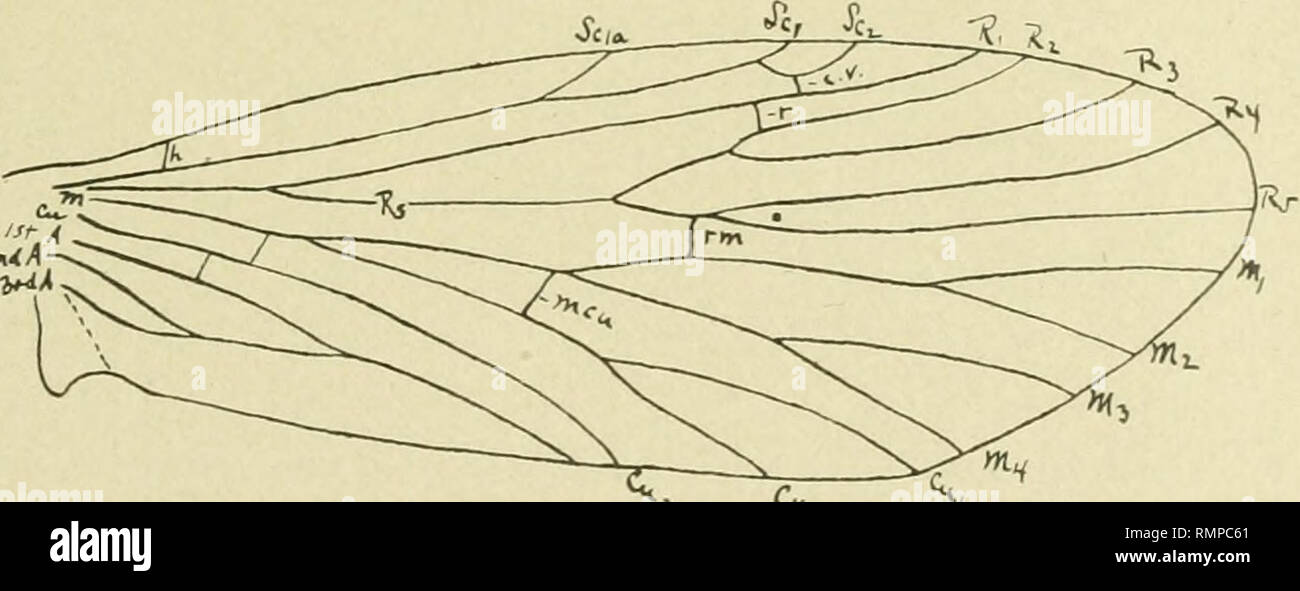 . Annals of the Entomological Society of America. Entomology. AN ...