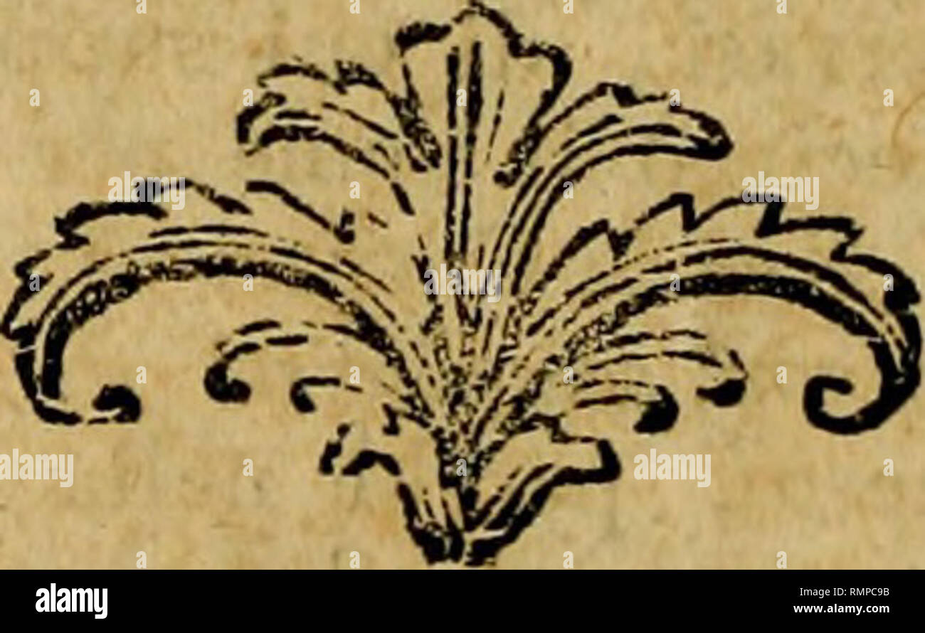 Meraviglia studio meraviglia hi-res stock photography and images - Alamy