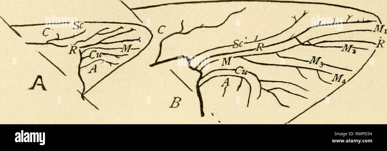 . Annals of the Entomological Society of America. Entomology. 98 ...