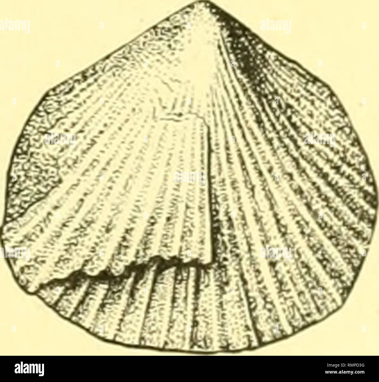 . Annals of the Carnegie Museum. Carnegie Museum; Carnegie Museum of ...