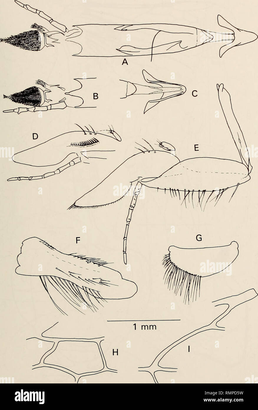 . Annals of the South African Museum = Annale van die Suid-Afrikaanse ...
