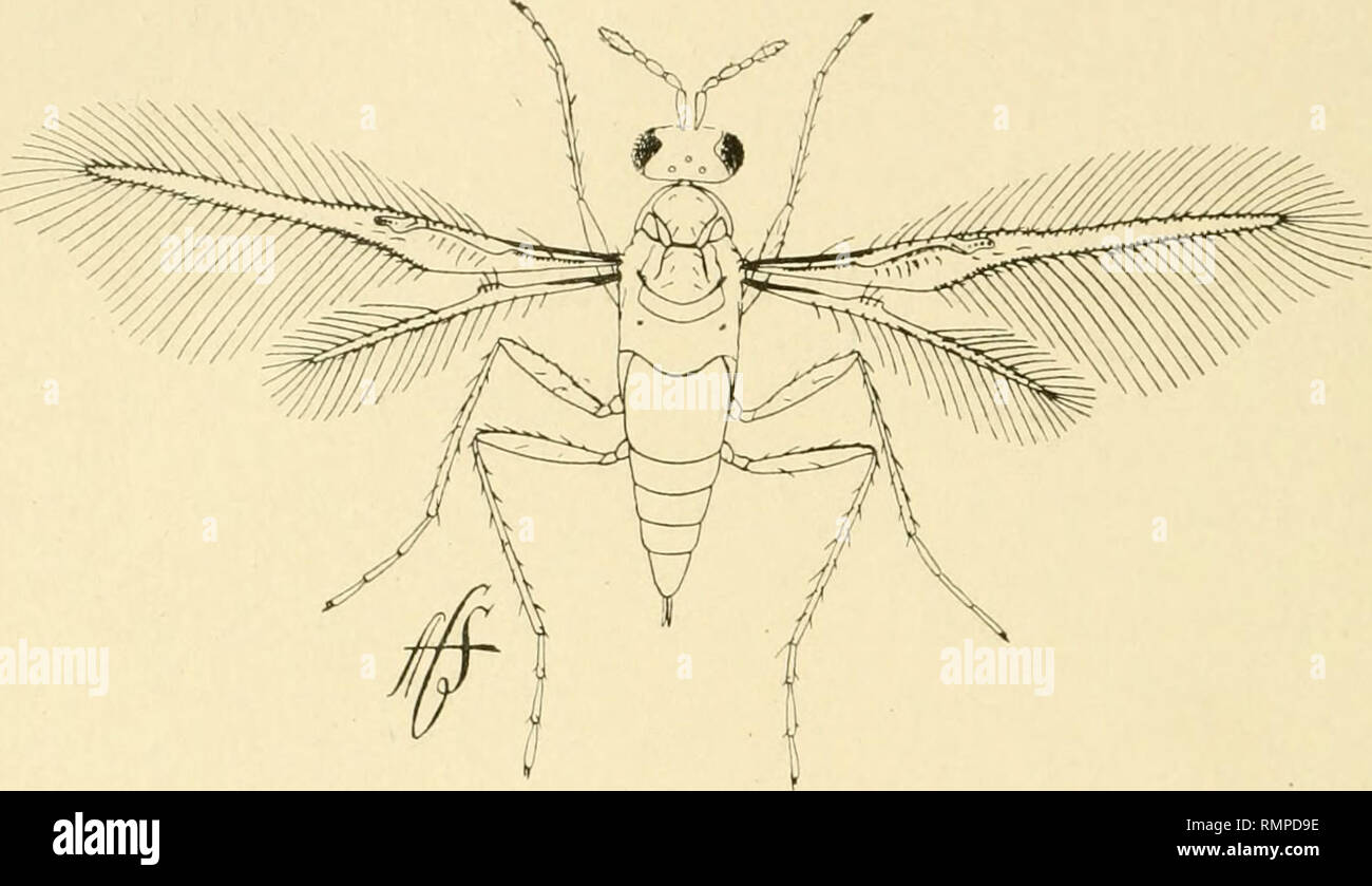 . Annals of the Entomological Society of America. Entomology. G6 Annals ...