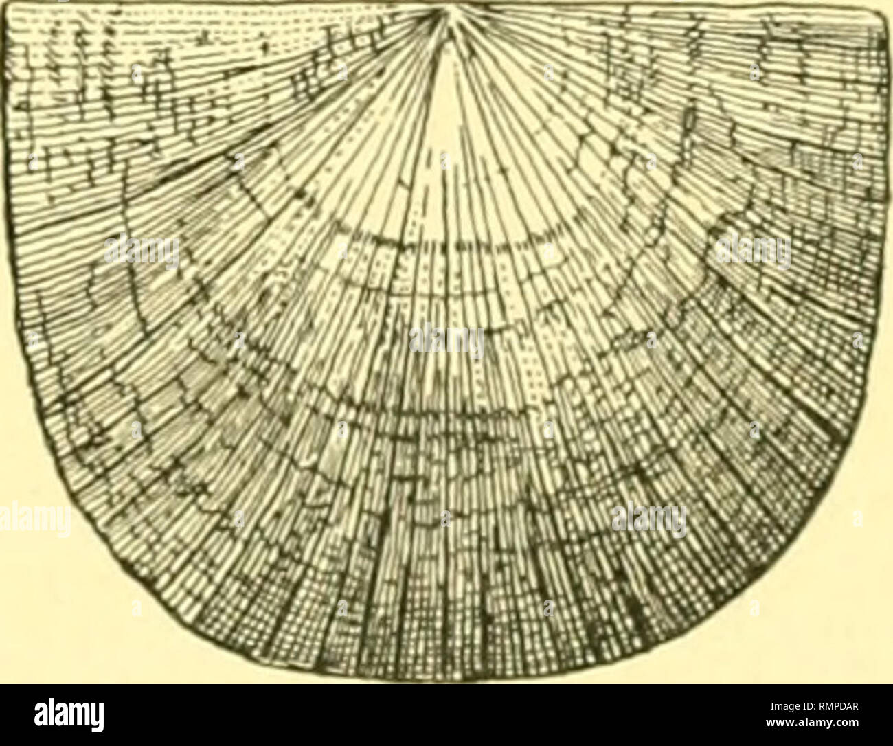 . Annals of the Carnegie Museum. Carnegie Museum; Carnegie Museum of ...