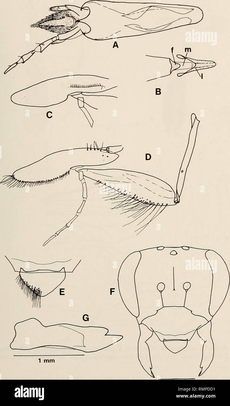 . Annals of the South African Museum = Annale van die Suid-Afrikaanse ...