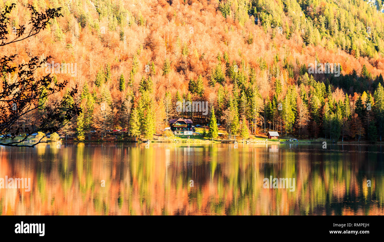 october afternoon at the lake during a colorful autumn Stock Photo - Alamy