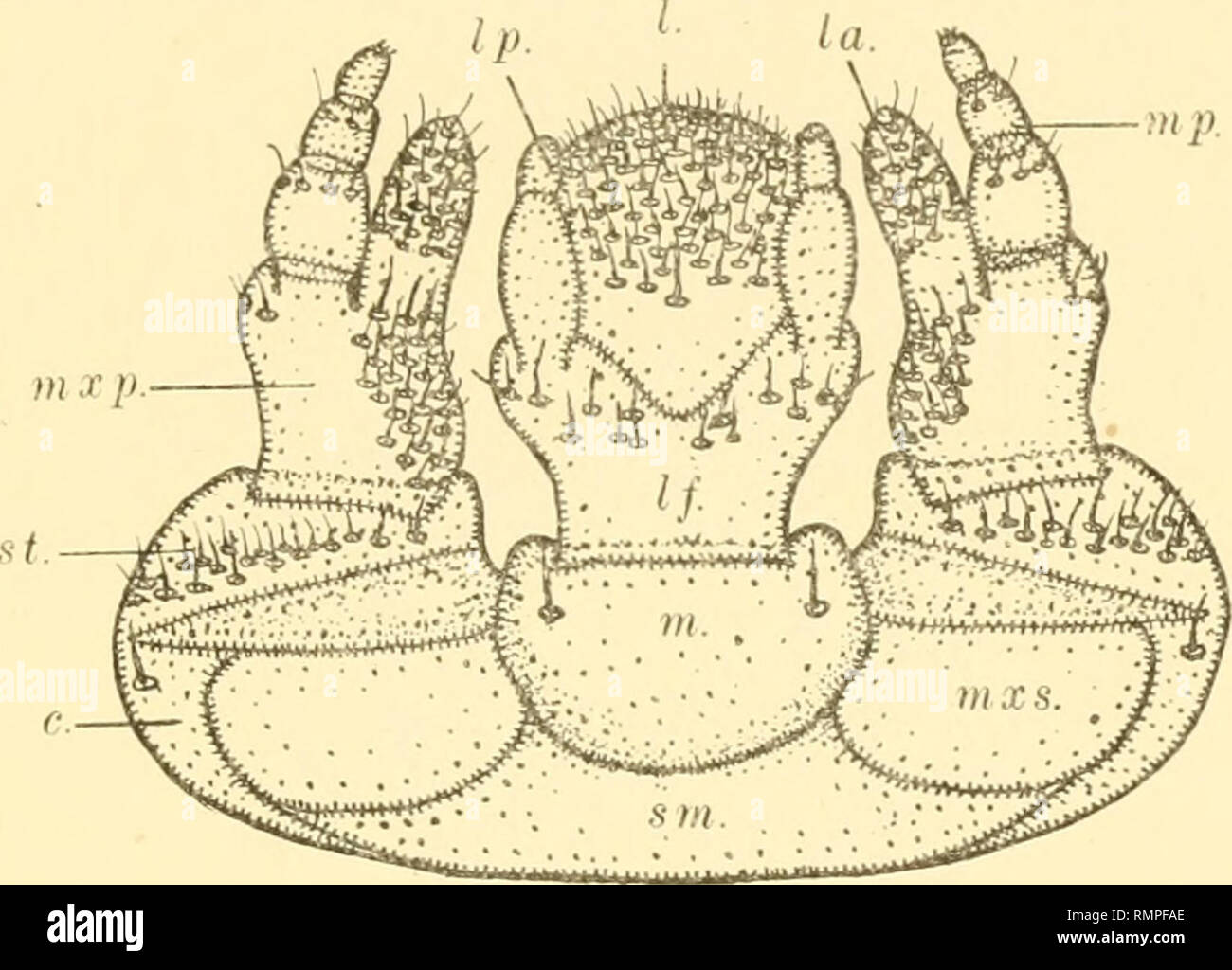 . Annals of applied biology. Biology, Economic; Biochemistry. Walter ...