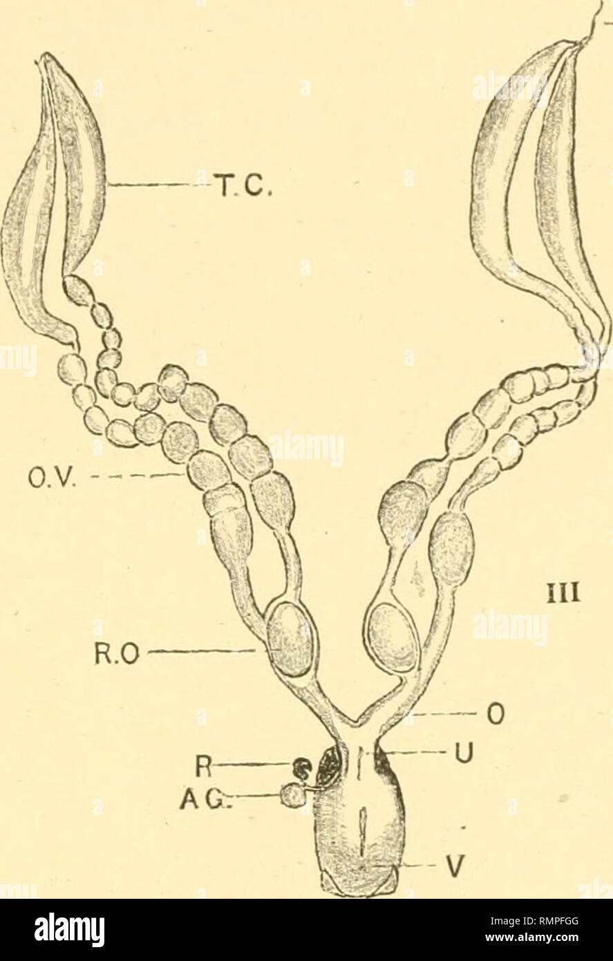 . Annals of applied biology. Biology, Economic; Biochemistry. T.F. o.v ...