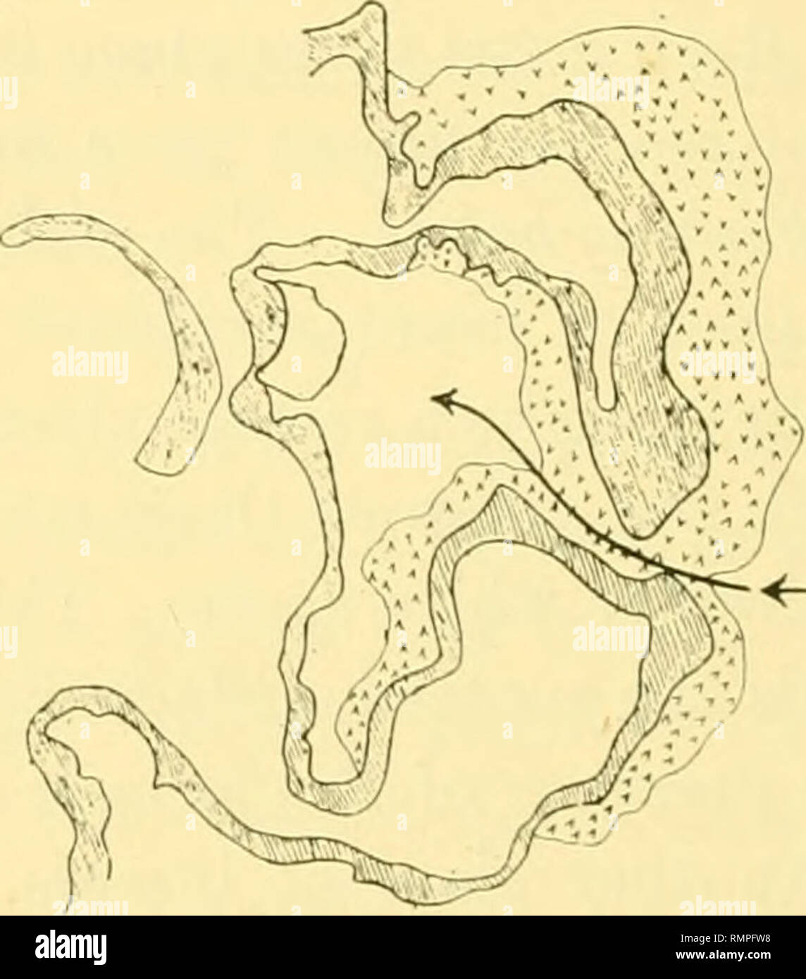 . Annals of applied biology. Biology, Economic; Biochemistry. Fig. 15 ...