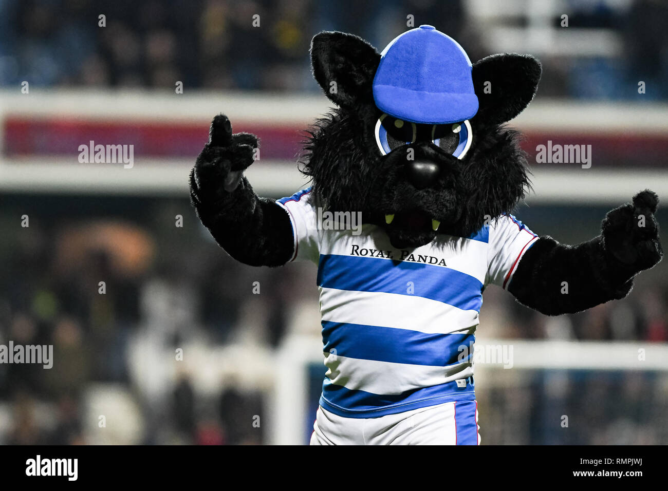 Queens park rangers mascot hi-res stock photography and images - Alamy