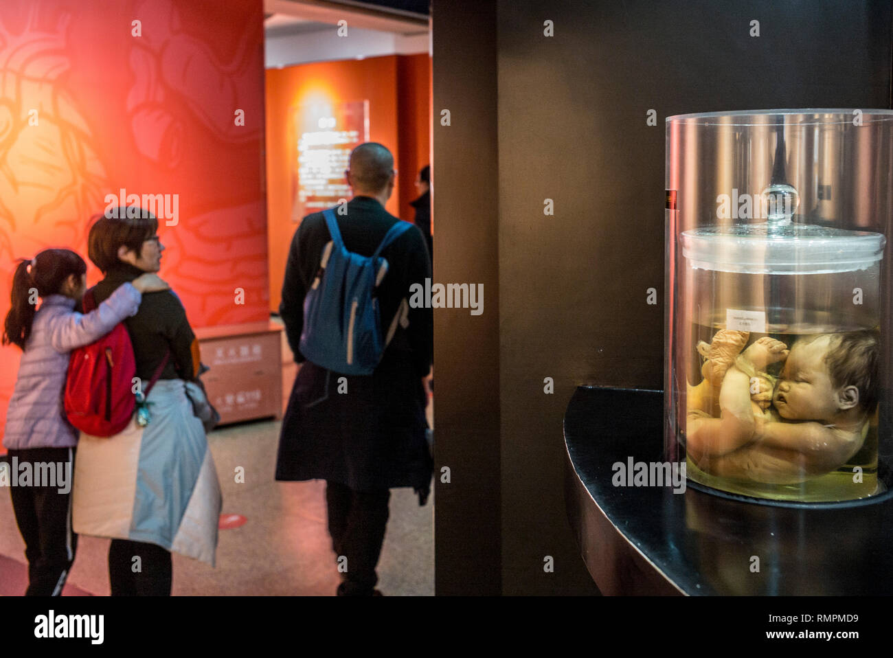 Beijing, China. 15th Feb, 2019. Human fetus seen during the exhibition ...