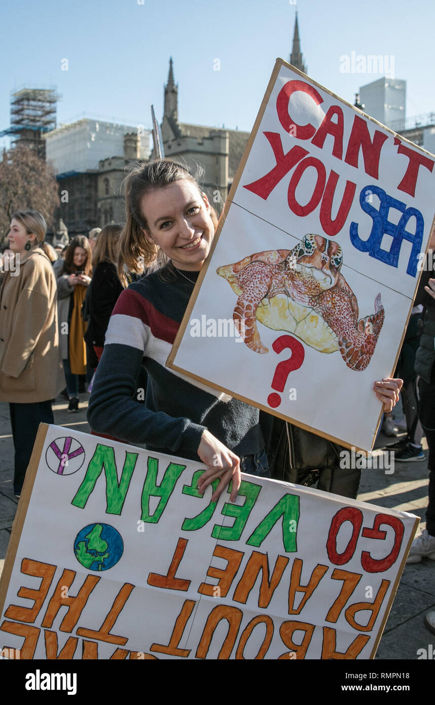 Colourful placard to protest against climate change and sea pollution ...